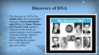 DNA PRESENTATION.pptx