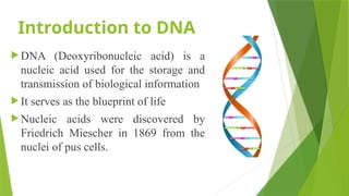 DNA or deoxyribonucleic acid, is the hereditary material in humans and ...