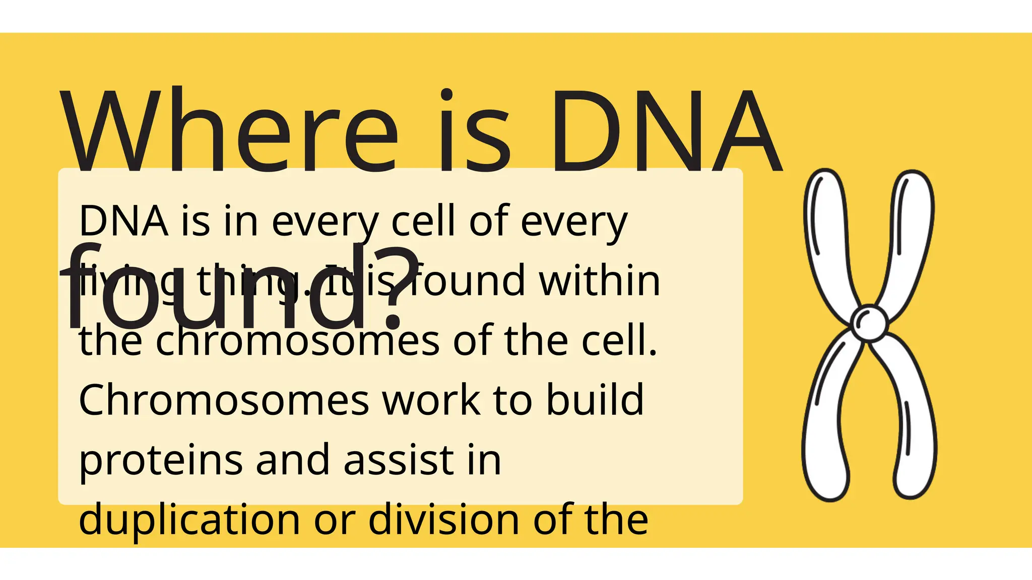 DNA PRESENTATION _20250927_231813_0000.pptx