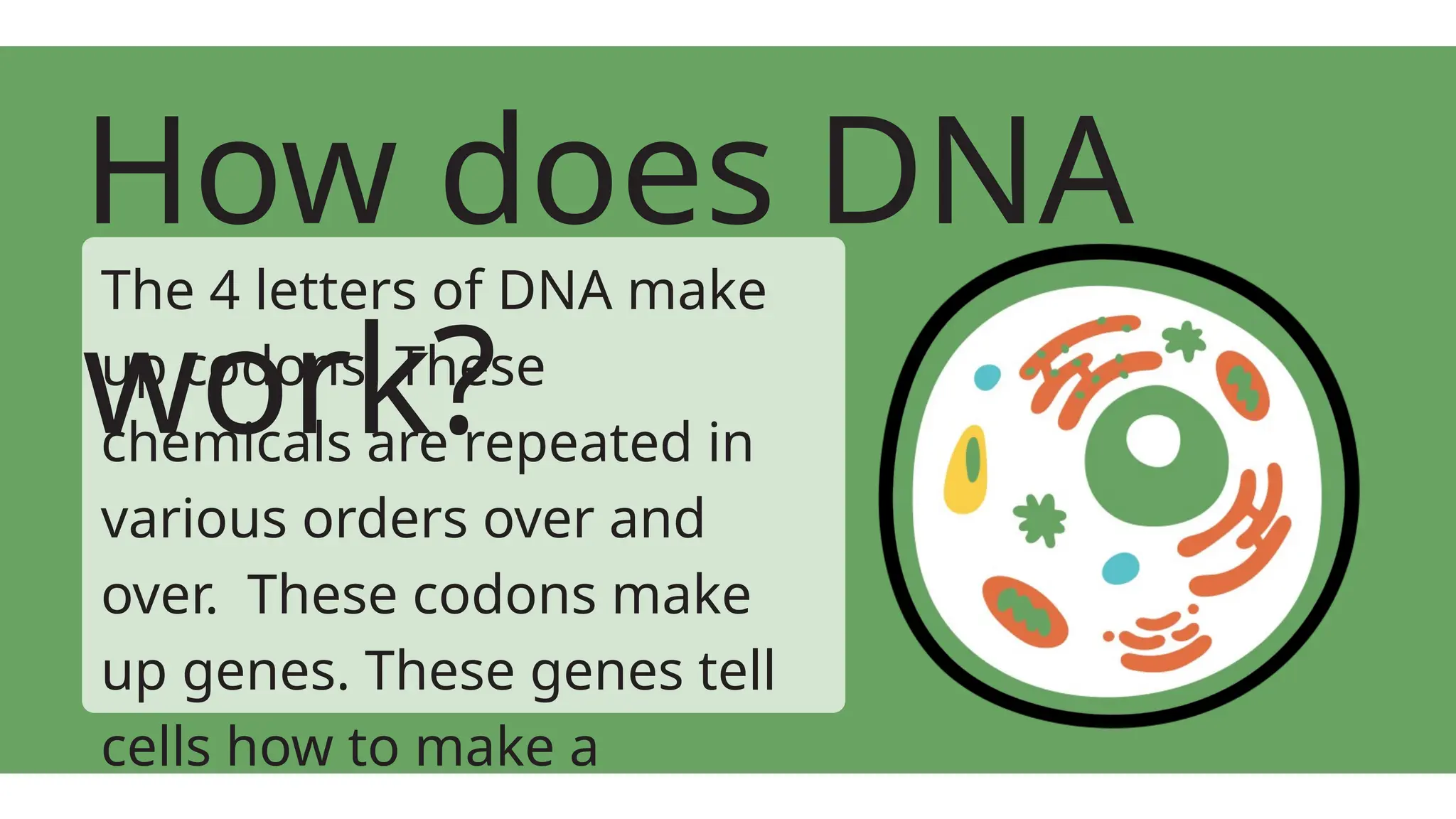 DNA PRESENTATION _20250927_231813_0000.pptx