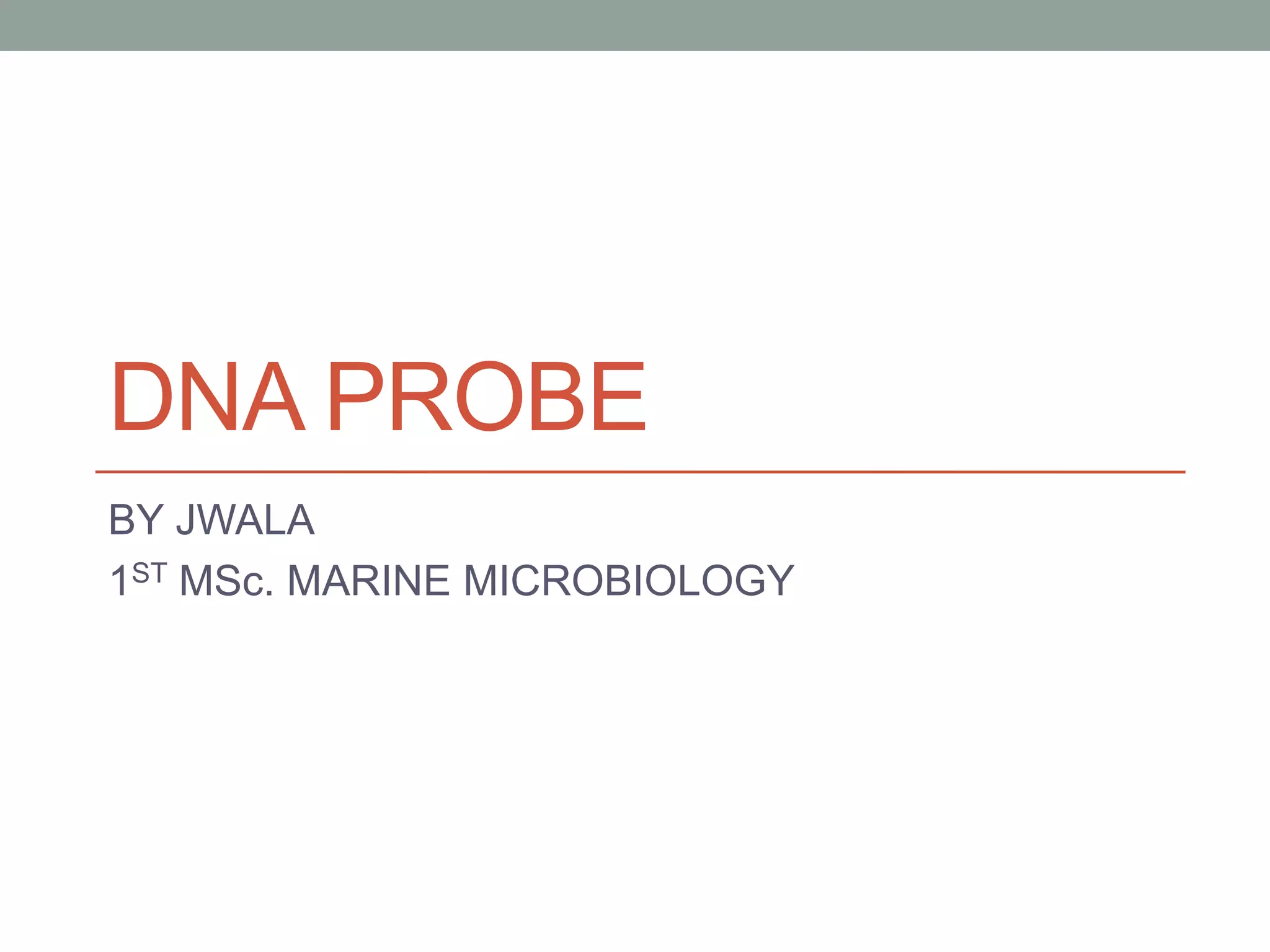 DNA probe | PPTX