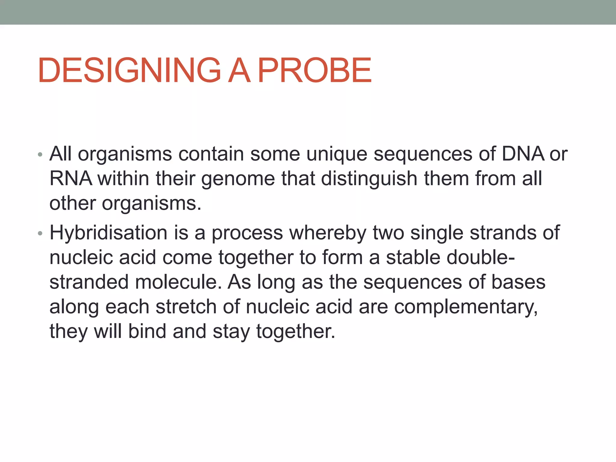 DNA probe | PPTX