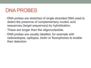 DNA probe | PPTX