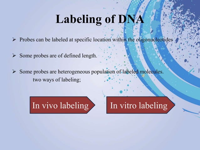 Dna probes | PPTX | Chemistry | Science