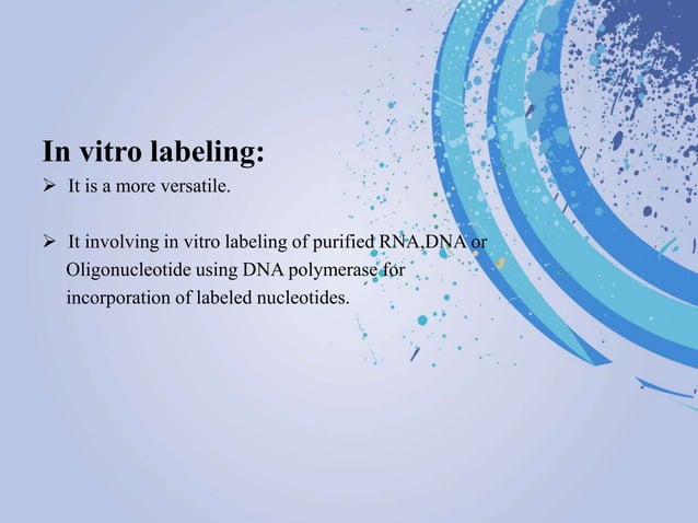 Dna probes | PPTX | Chemistry | Science