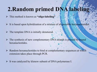 Dna probes | PPTX