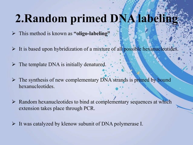 Dna probes | PPTX | Chemistry | Science