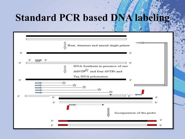 Dna probes | PPTX | Chemistry | Science