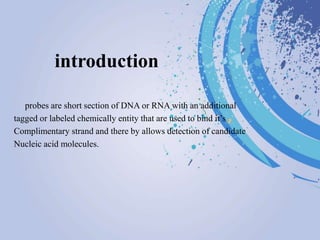 Dna probes | PPTX