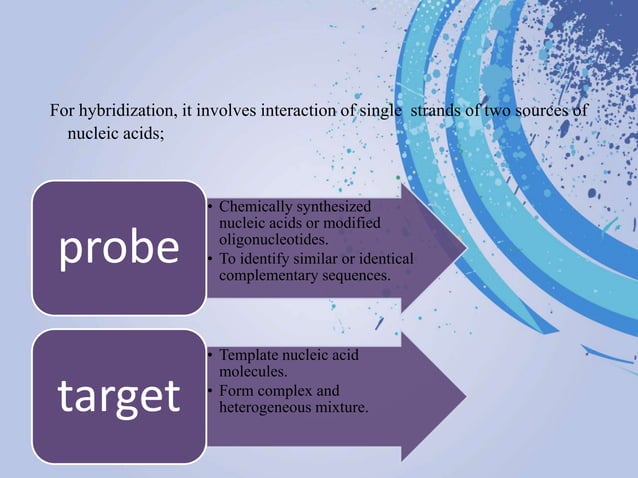Dna probes | PPTX | Chemistry | Science