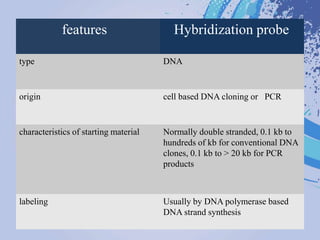 Dna probes | PPTX
