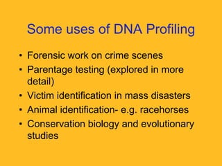 Dnaprofiling | PPT