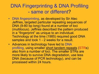 Dnaprofiling | PPT