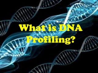 Dna profiling | PPTX