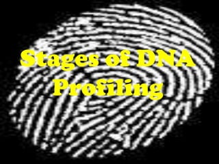 Dna profiling | PPTX