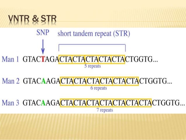 Dna profiling