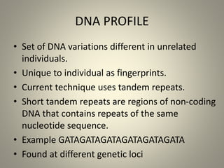 Dna profiling | PPT