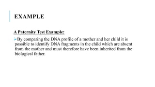 Dna profiling | PPTX