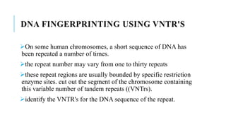 Dna profiling | PPTX