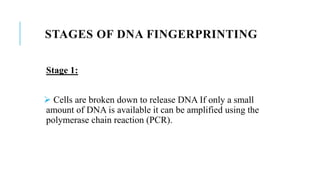 Dna profiling | PPTX