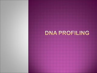 DNA Profiling | PPT