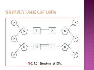 DNA Profiling | PPT