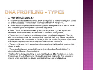 DNA Profiling | PPT