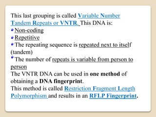 DNA PROFILING of human dna using various mathods | PPTX