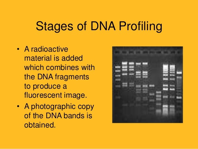 DNA PROFILING