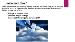 DNA profiling29.pptx use full for students | PPTX