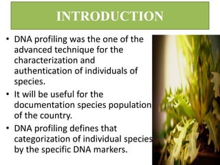 Dna profiling | PPTX