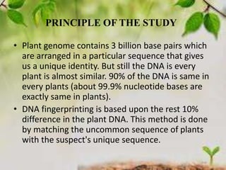 Dna profiling | PPTX