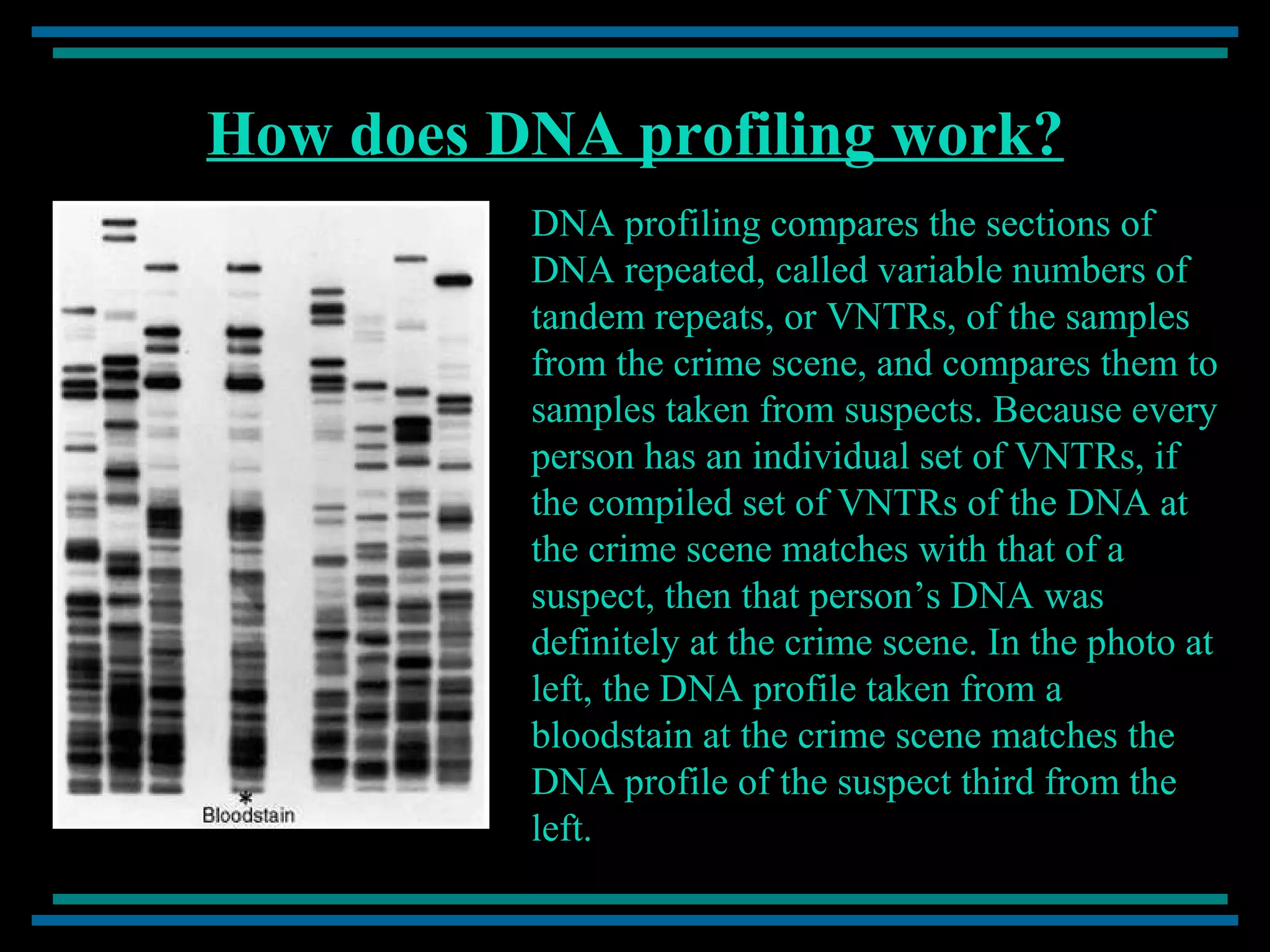 Dna profiling presentation x2 | PPT