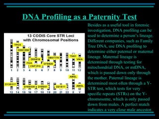 Dna profiling presentation x2 | PPT