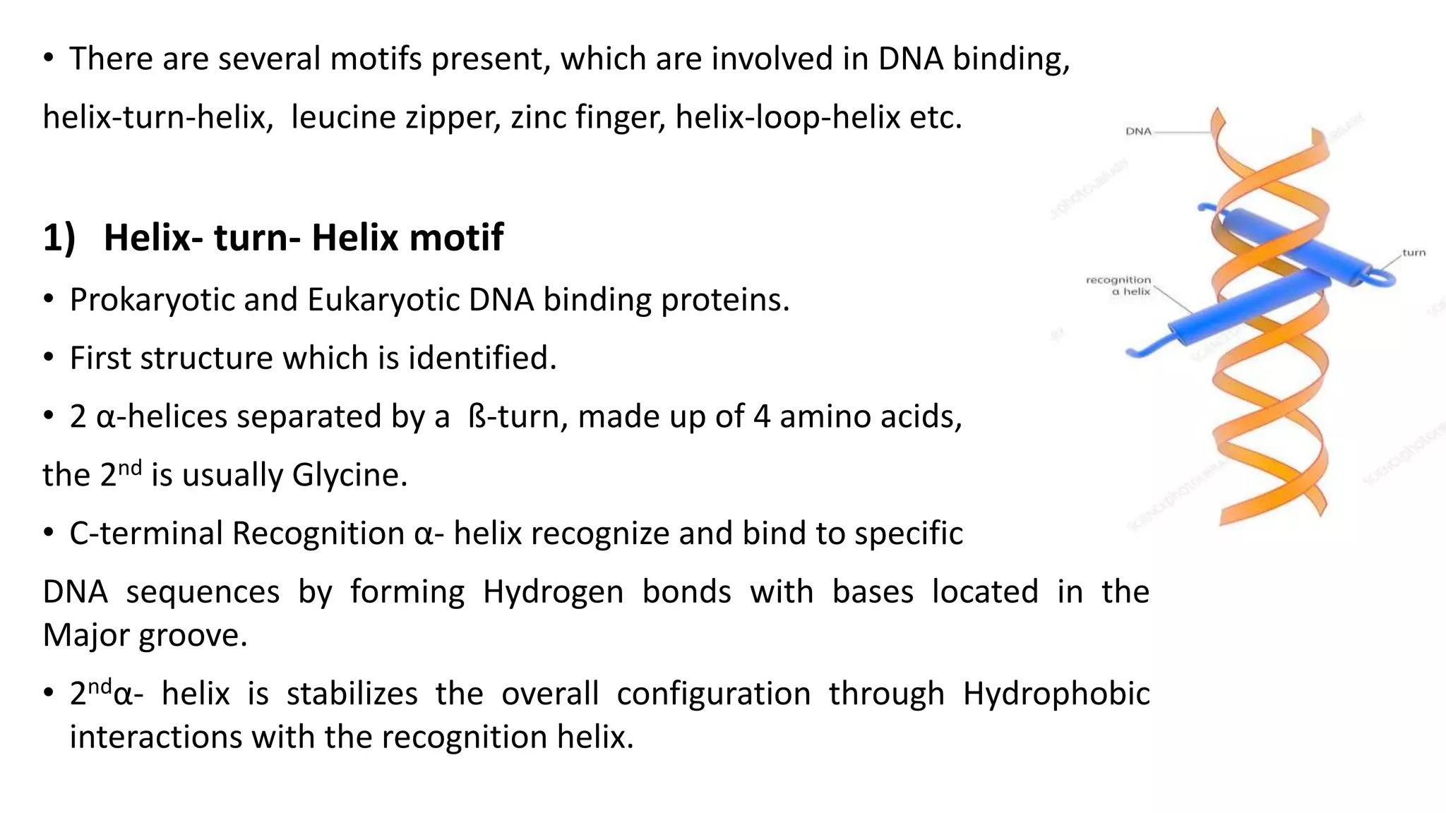 DNA protein interaction.pptx