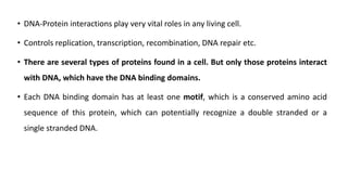 DNA protein interaction.pptx