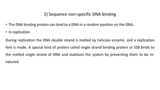 DNA protein interaction.pptx