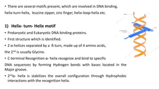 DNA protein interaction.pptx