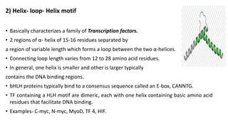 DNA protein interaction.pptx