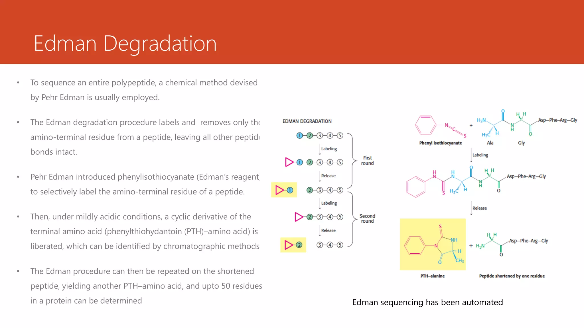Automated DNA sequencing ; Protein sequencing | PDF