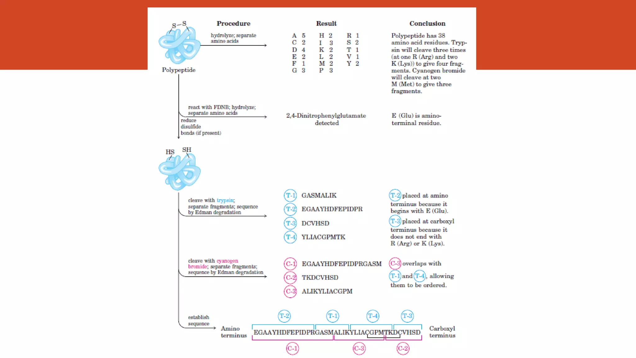 Automated DNA sequencing ; Protein sequencing | PDF