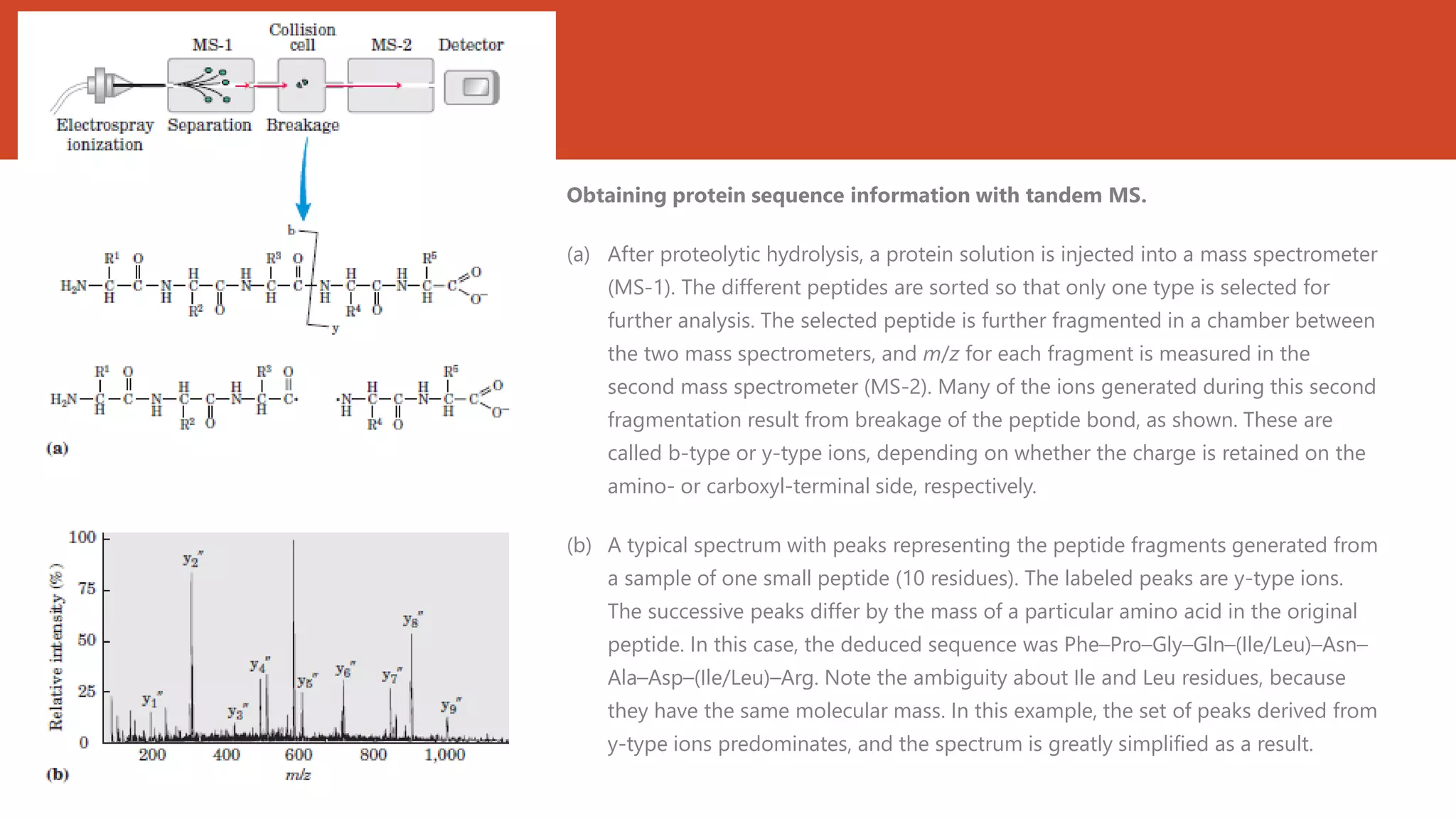 Automated DNA sequencing ; Protein sequencing | PDF