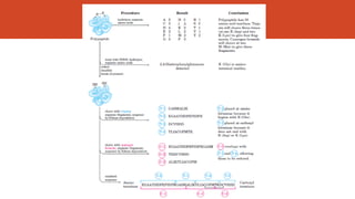Automated DNA sequencing ; Protein sequencing | PDF