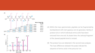 Automated DNA sequencing ; Protein sequencing | PDF