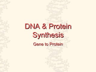 DNA & Protein Synthesis Detailed explanations | PPT