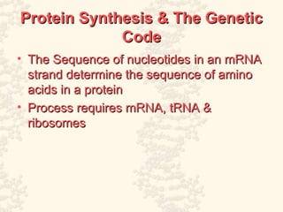 DNA & Protein Synthesis Detailed explanations | PPT