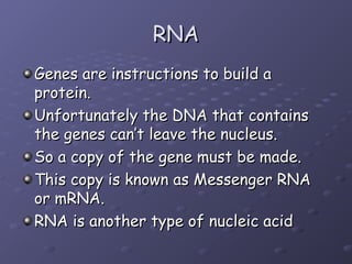 Biology Year 11 IGCSE DNA__Protein_synthesis.ppt