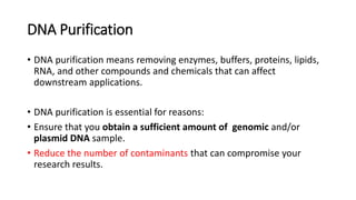 DNA Purification by Sanjeev Khanal .pptx
