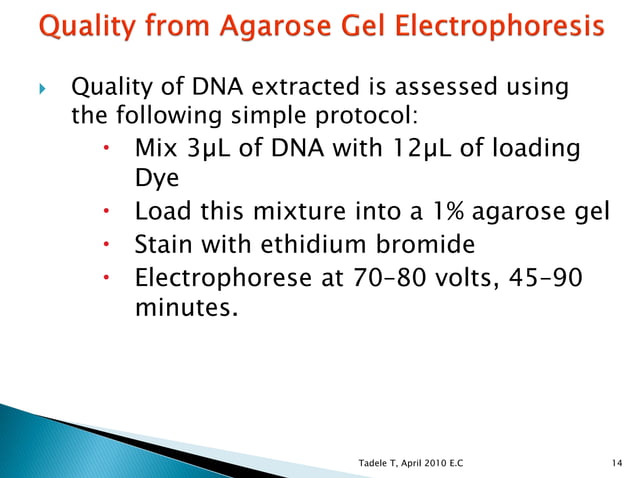 Dna quantification | PDF