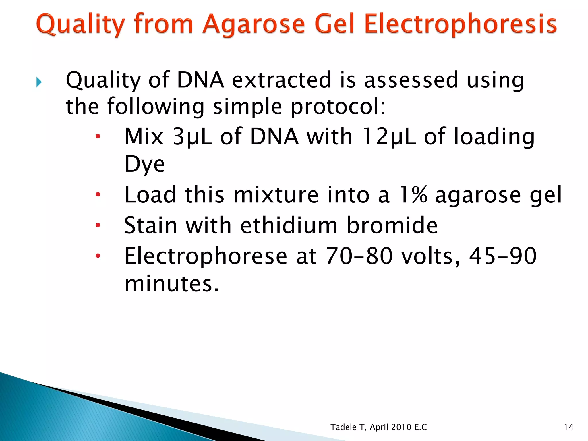 Dna quantification 2011 ec | PPT